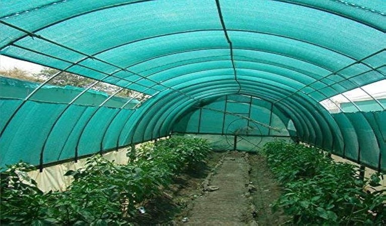 High-Quality Greenhouses in Kenya | Shadepro Solutions